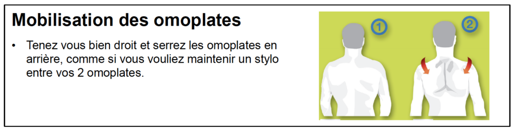 MOBILISATION DES OMOPLATES | ARTICS